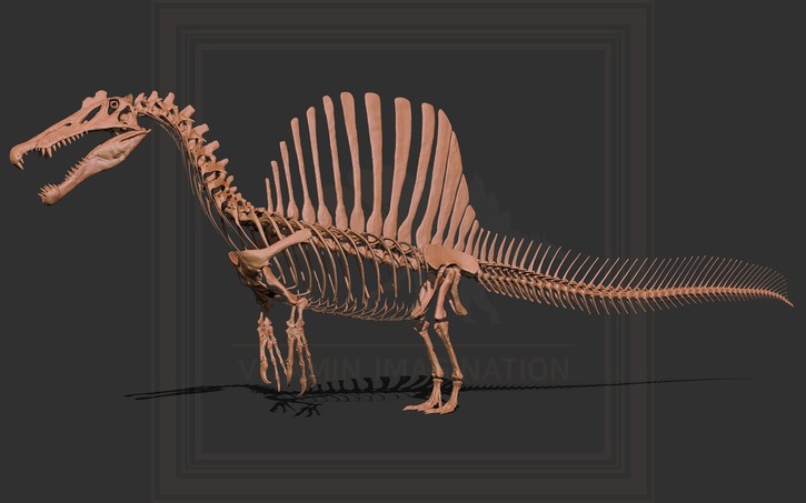3D design 2025 Spinosaurus Reconstruction - Tinkercad