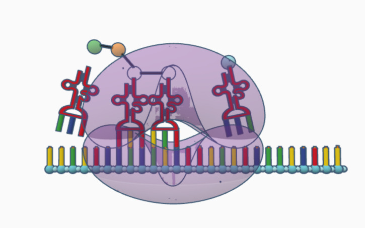 3D design Polypeptide synthesis - Tinkercad