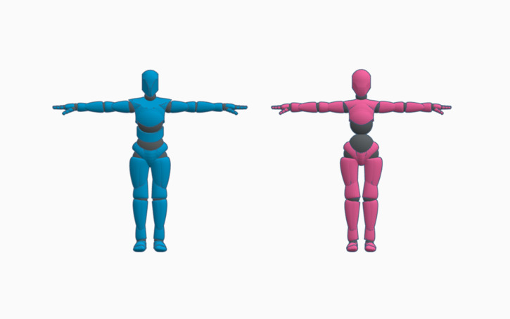 3D design Male and Female Poseable Figures - Tinkercad